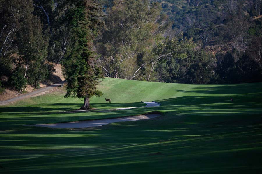 Wilson Golf Course - L.A. City Golf Courses
